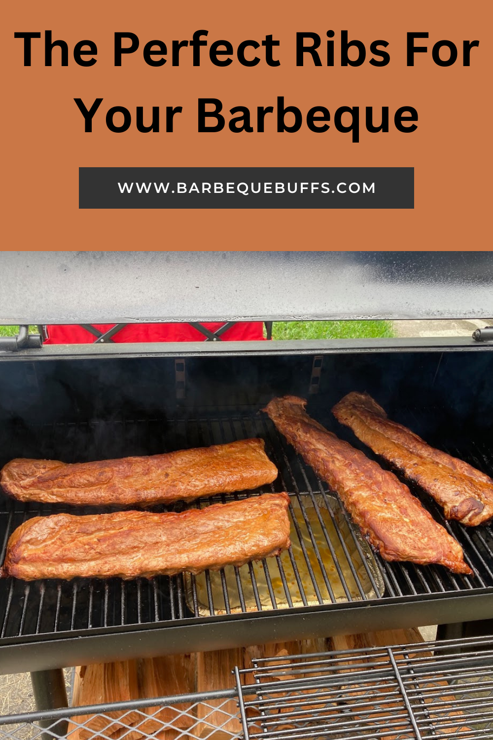 The Types of Ribs For Barbeque - BBQ Buffs